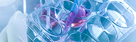 Vazyme - For Science For Health