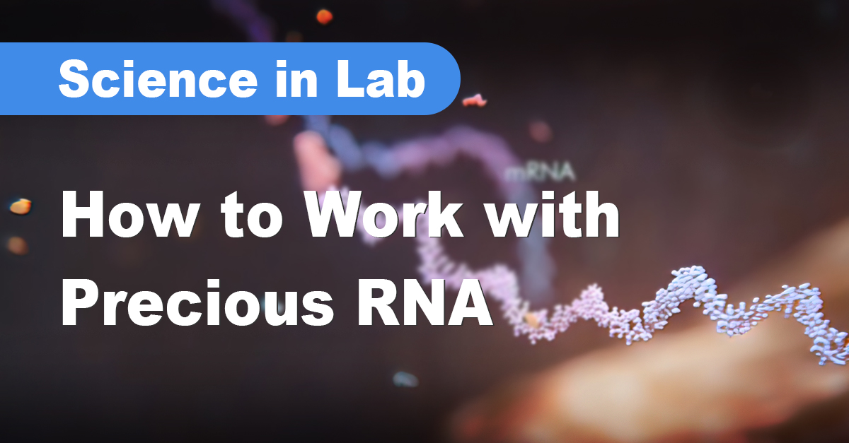 Vazyme - For Science For Health